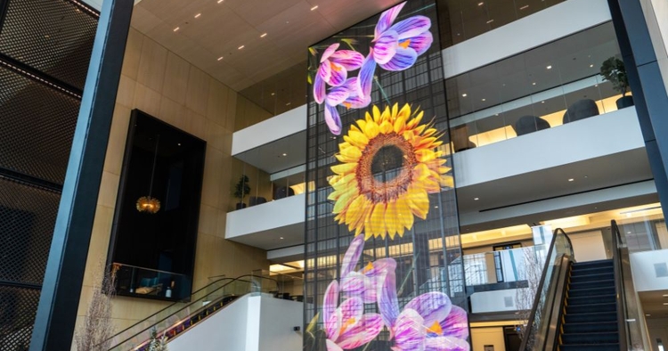 How CLRVision Is Changing Transparent Mesh Displays | Nanolumens